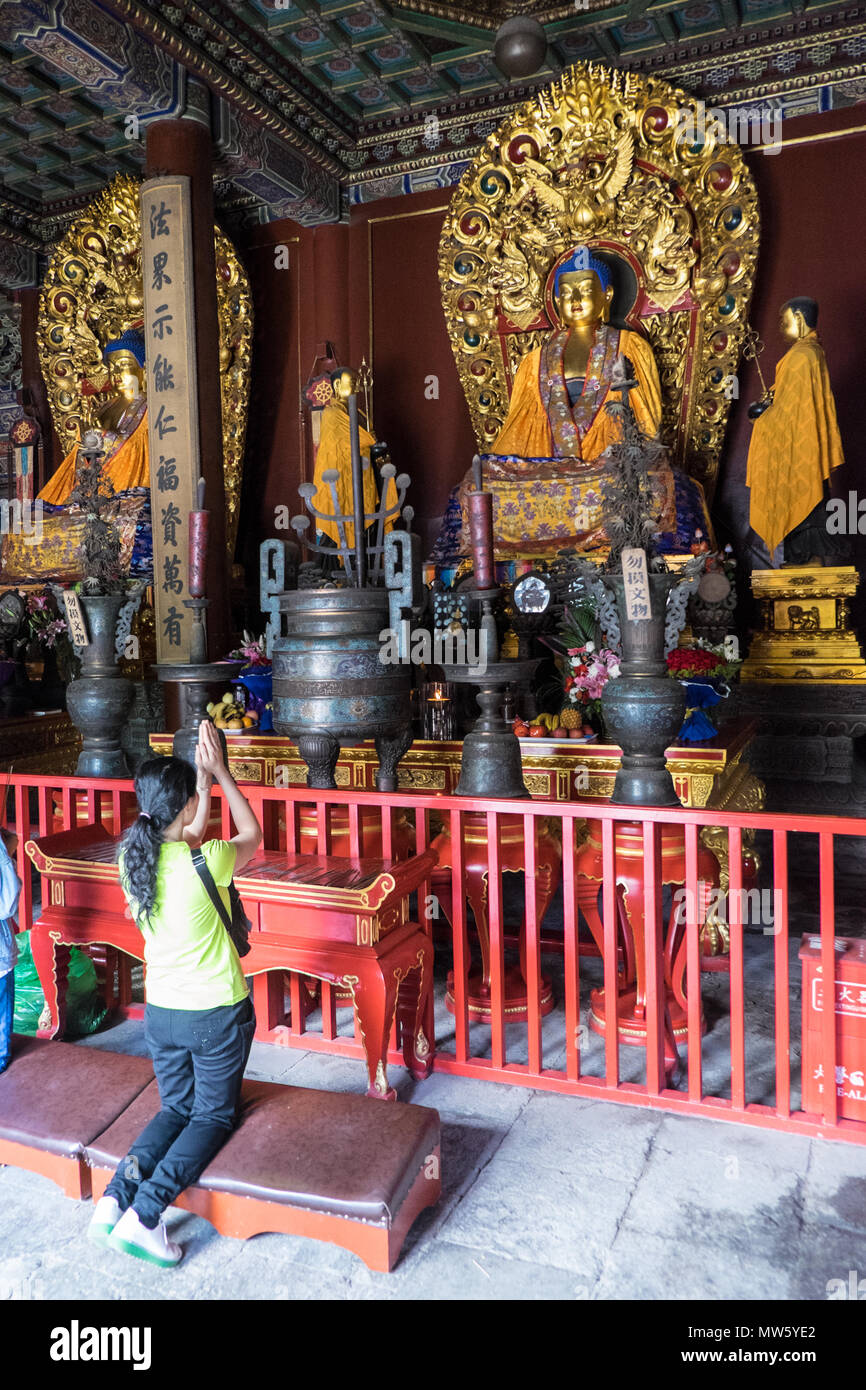 Lama,temple,Beijing,Peking,capital,city,Peoples Republic of China,China ...
