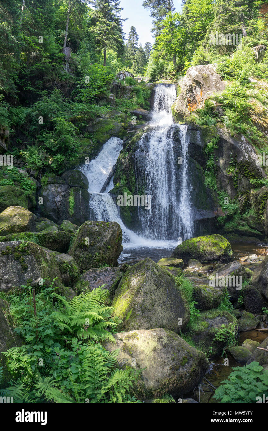 Triberg hi-res stock photography and images - Alamy
