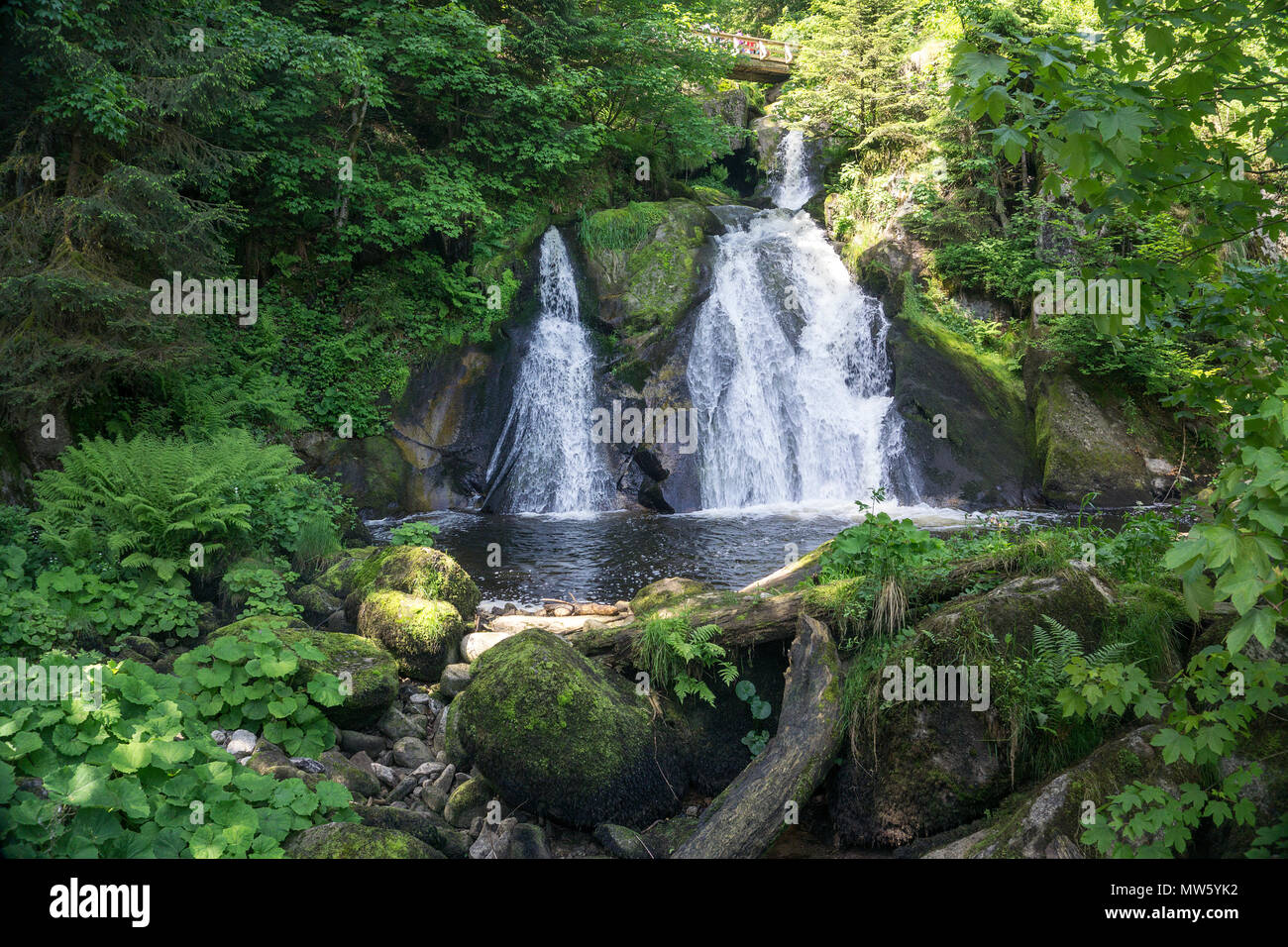 Triberg waterfalls, one of the highest waterfalls of Germany, Triberg ...