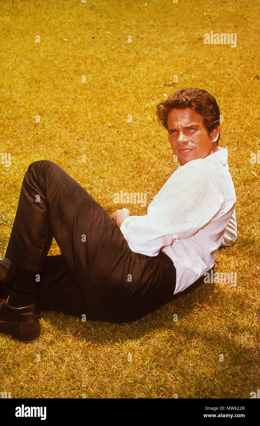 Warren beatty 1975 hi-res stock photography and images - Alamy