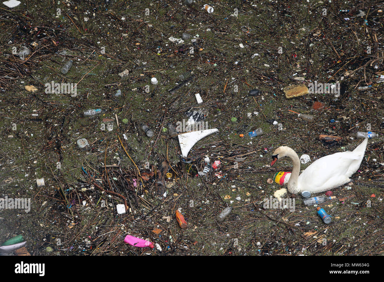 River thames pollution hi-res stock photography and images - Alamy
