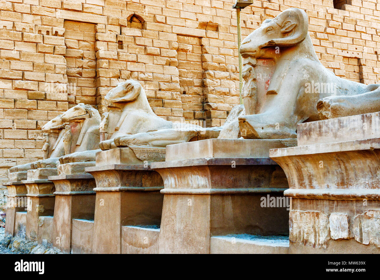 Ram statues of the Karnak temple, Luxor, Egypt (Ancient Thebes with its ...