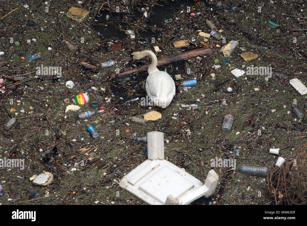 Historic thames water pollution hi-res stock photography and images - Alamy
