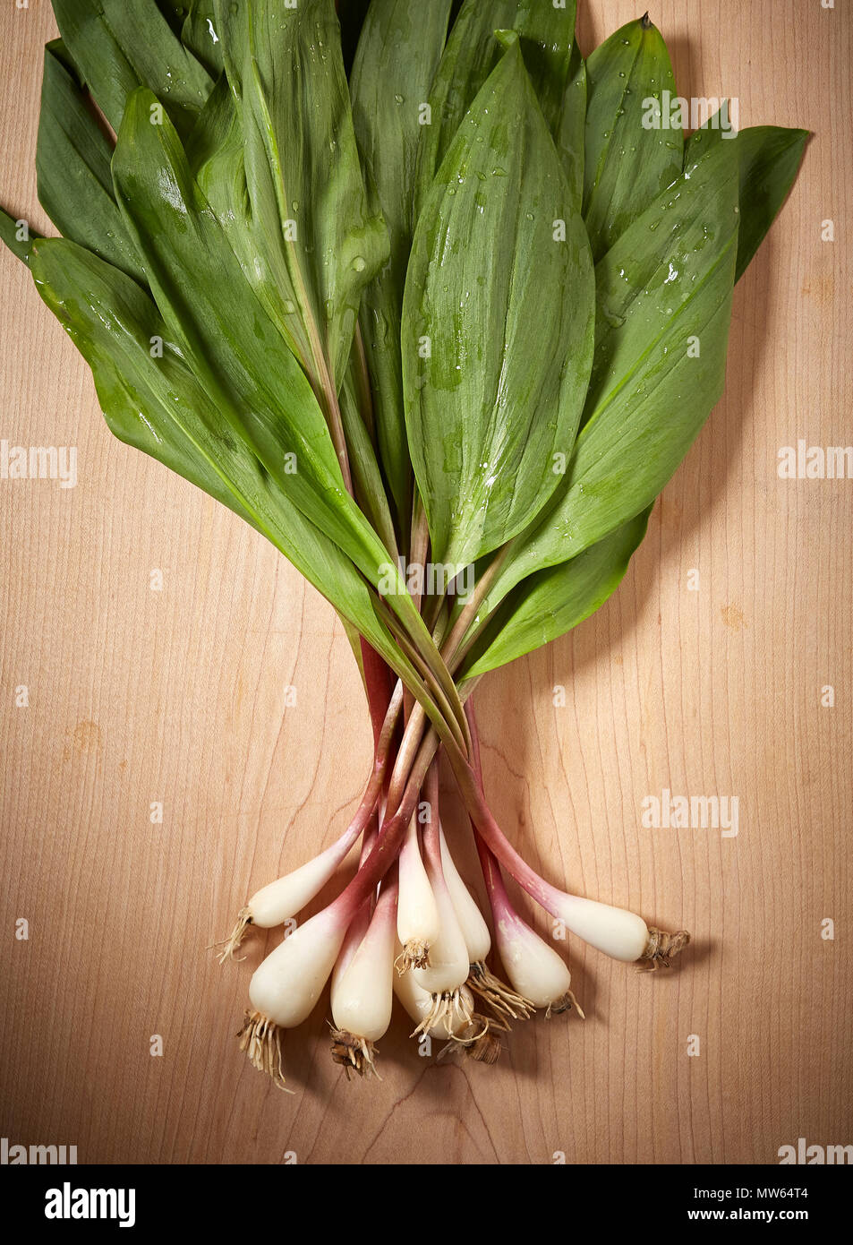 Wood ramps hi-res stock photography and images - Alamy