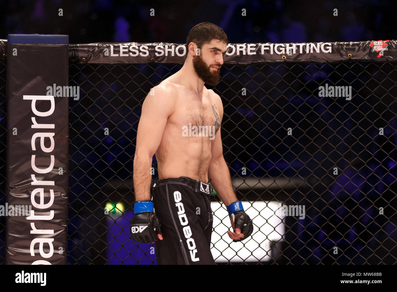 Batraz agnaev mma hi-res stock photography and images - Alamy