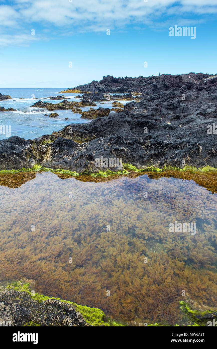 black volcanic rock pools along the coast at mosteiros Stock Photo - Alamy