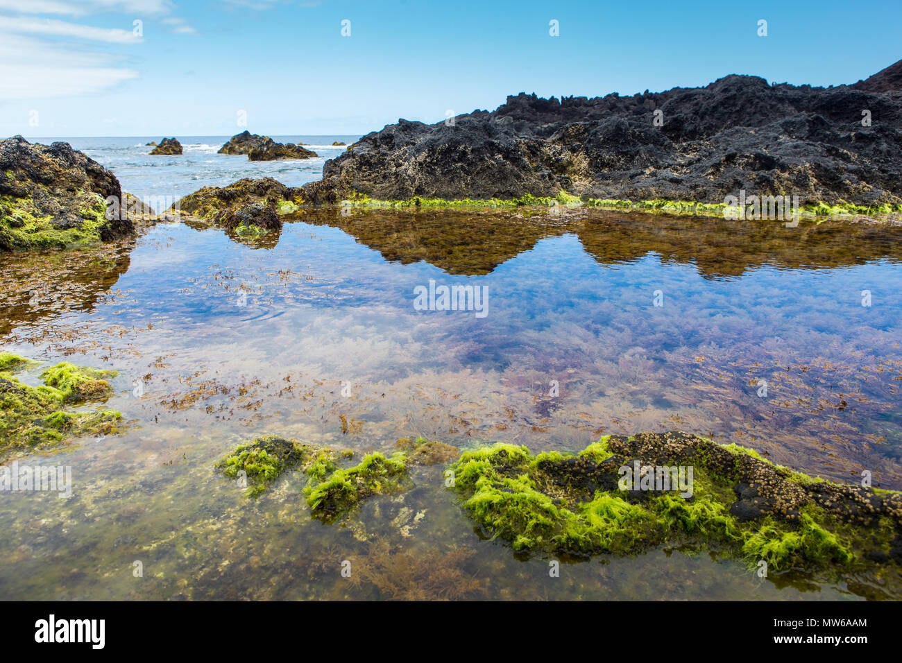 black volcanic rock pools along the coast at mosteiros Stock Photo - Alamy