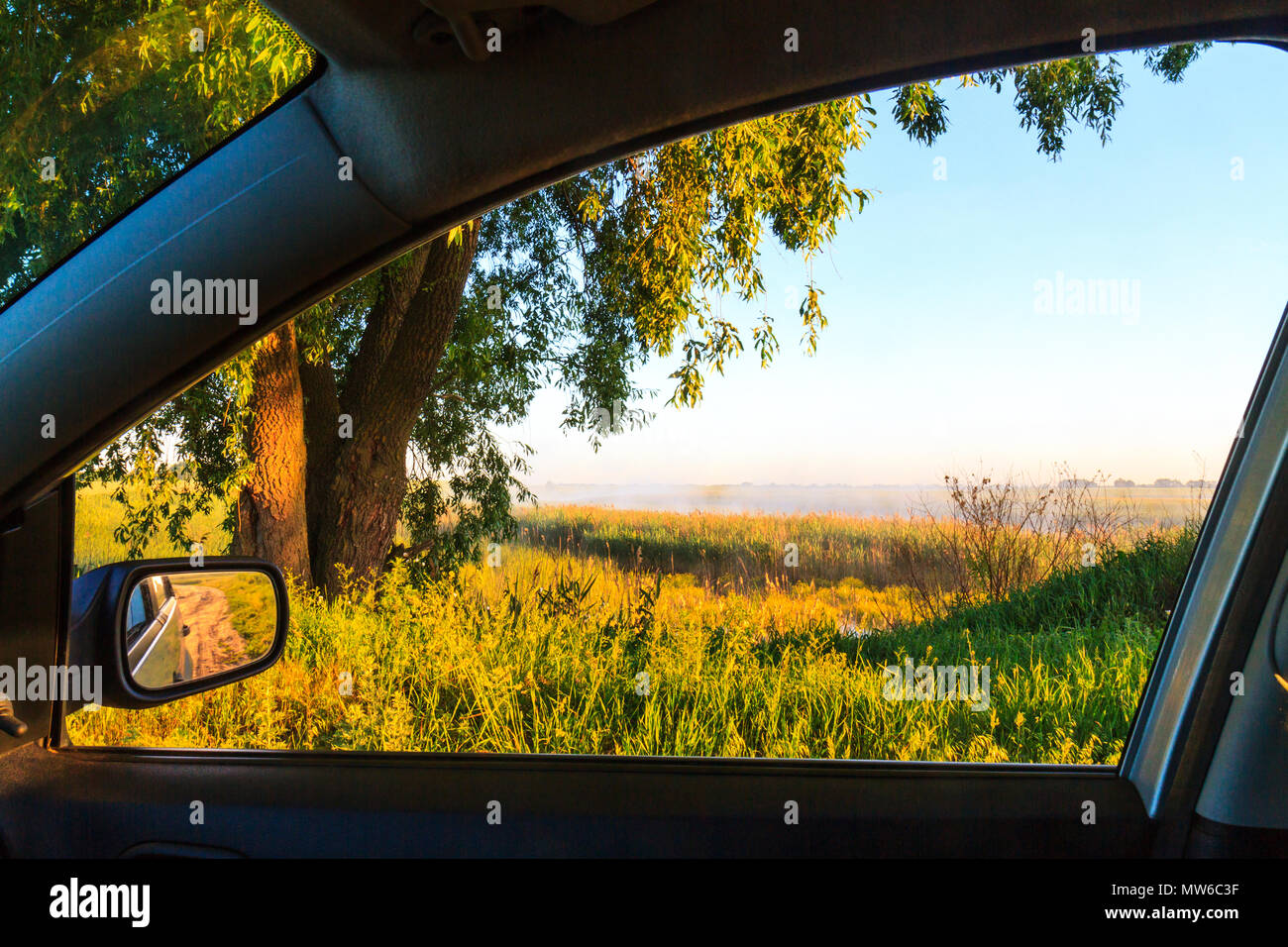 spring beautiful landscape from the window of the car, wildlife and ...