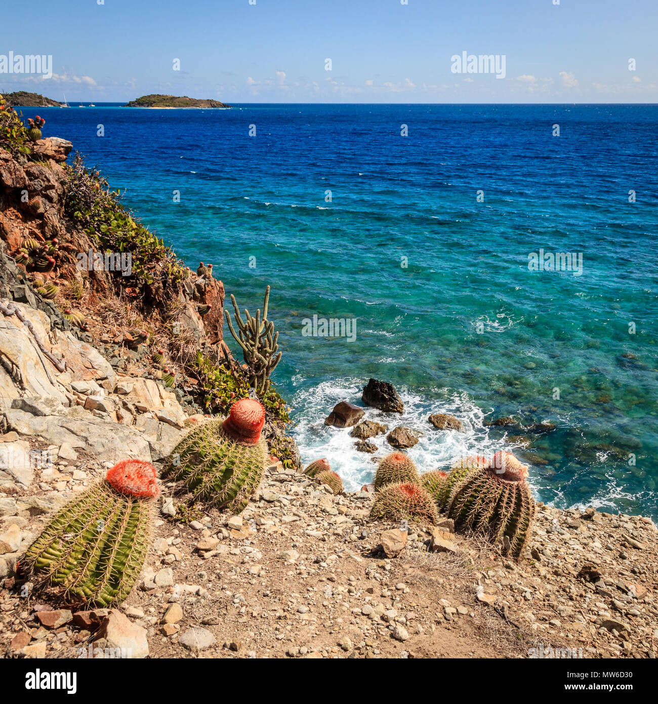 Caribbean islands cactus landscape hi-res stock photography and images ...