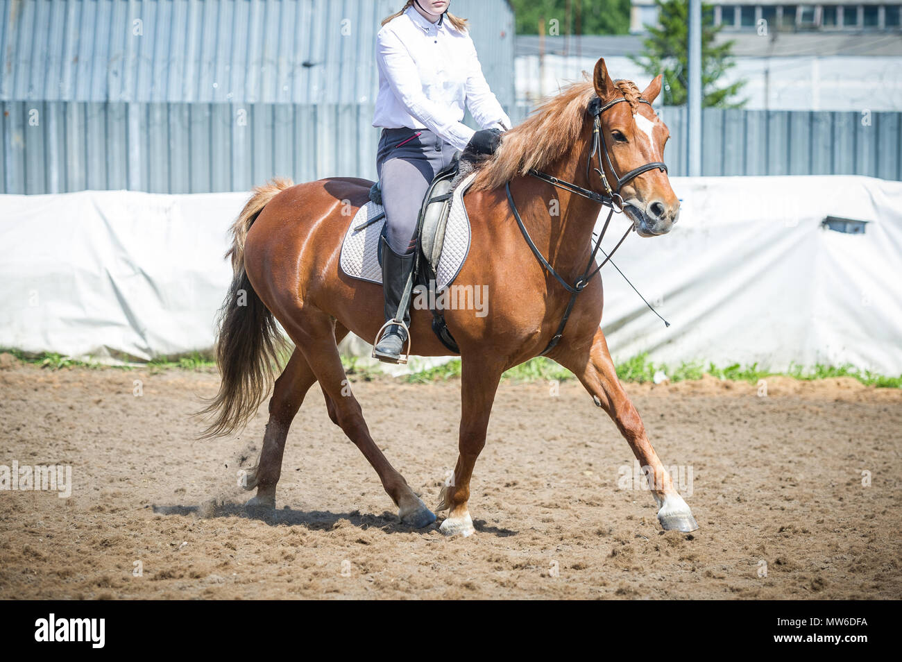 Training in horse riding, entry level. Overcoming a horseman on a bay ...