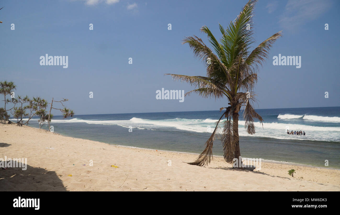 Tropical island with white sandy beach in blue lagoon, palm tree ...