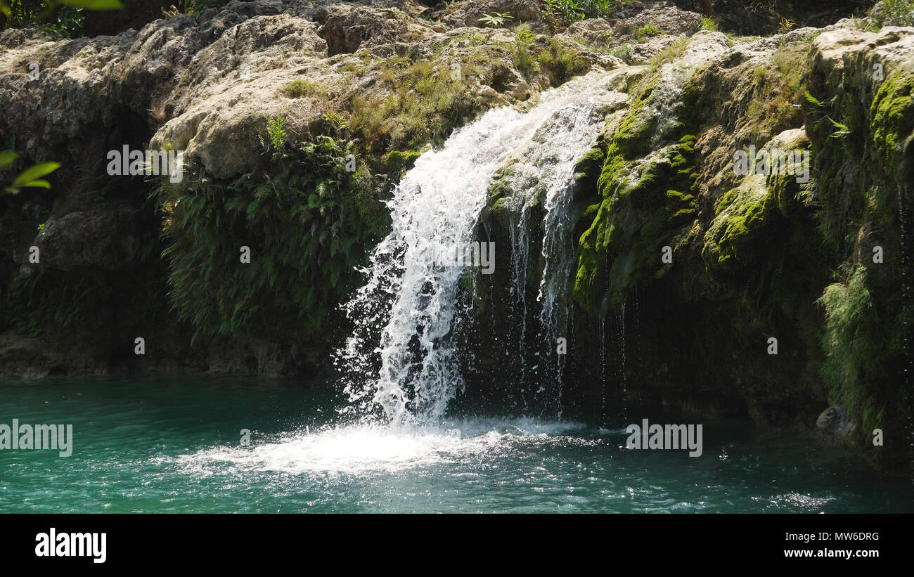 Waterfall in green rainforest. Bolinao waterfall in the mountain jungle ...