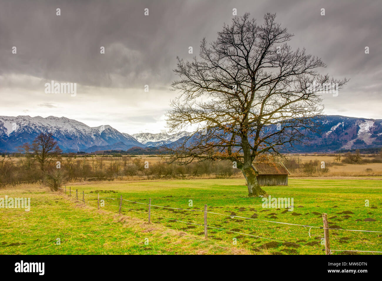 Murnau Moor Murnauer Moos High Resolution Stock Photography and Images ...