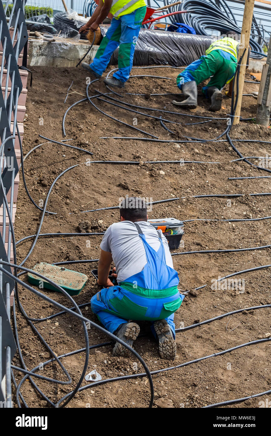 Workcrews testing drip irrigation for plants, installing drip ...