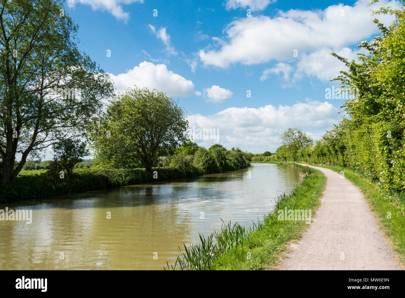 The Kennet & Avon canal between Semington and Seend Cleeve, Wiltshire ...