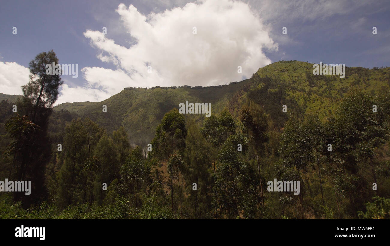 Slopes of mountains covered with green tropical forest.Jawa island ...