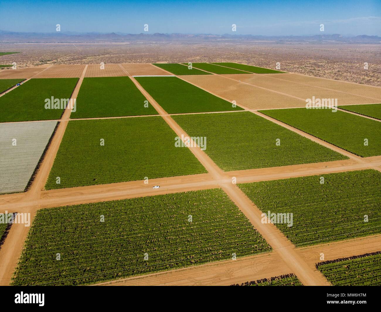 Aerial view of Viñedo in the community of Pesqueira, and Zamora in ...