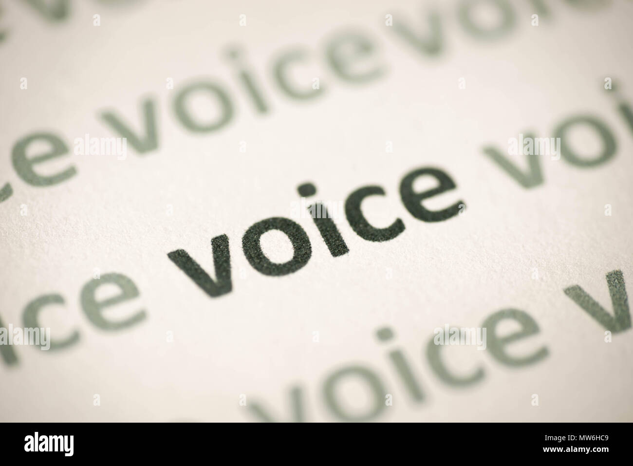 word voice printed on white paper macro Stock Photo - Alamy
