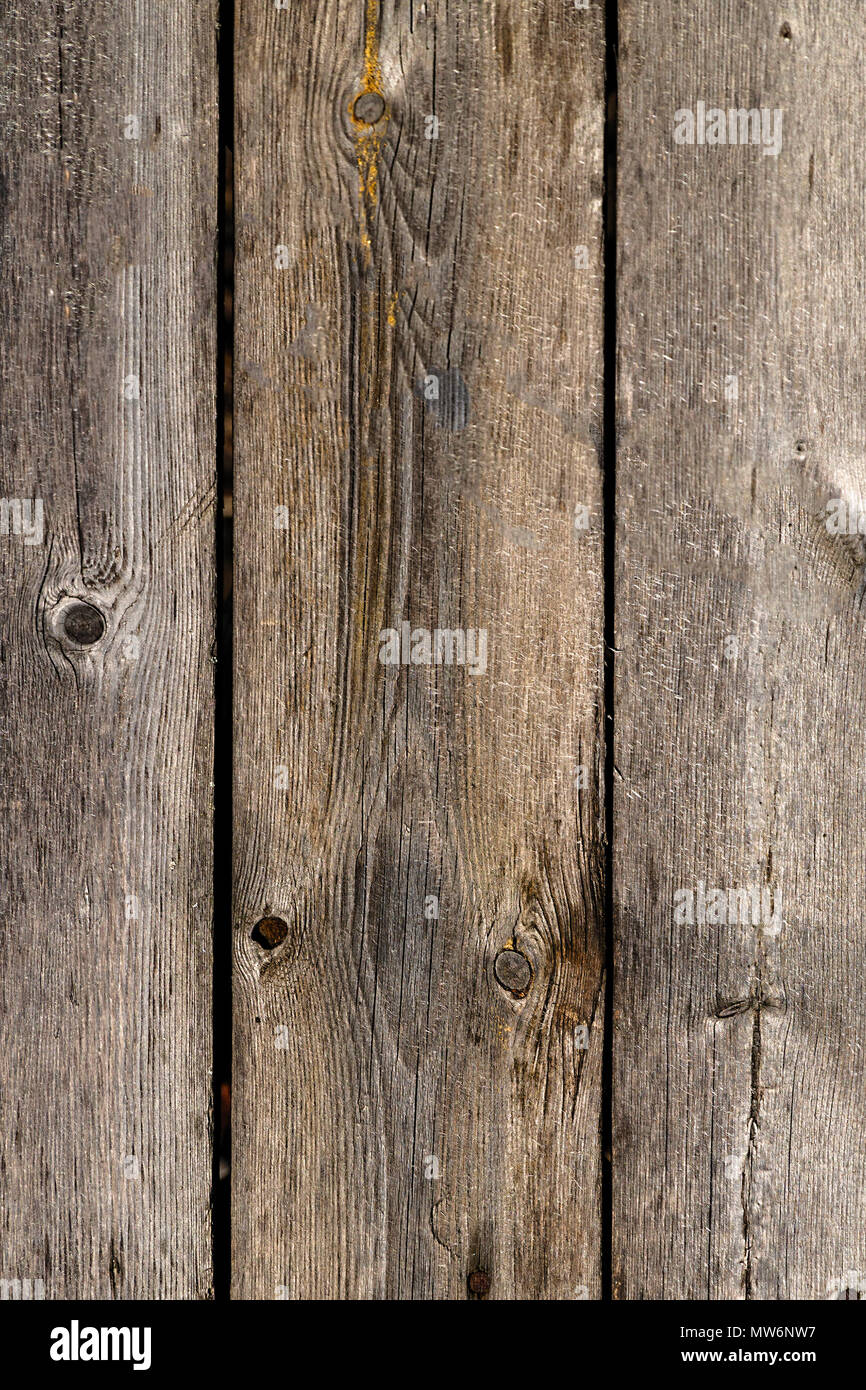 Wooden background of pine boards of natural color Stock Photo - Alamy