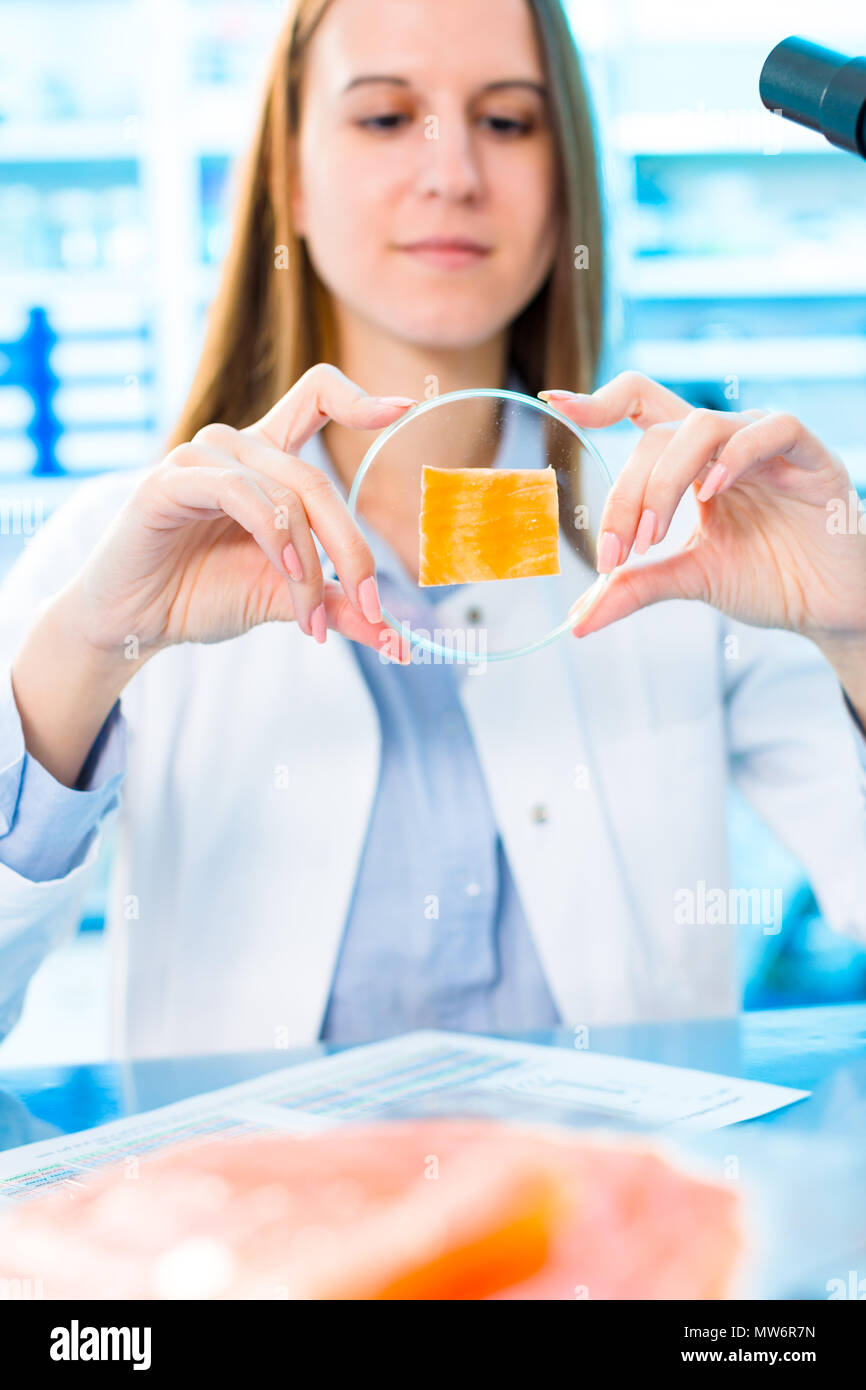 Fish research in laboratory. Food Processing and Quality Control Fish ...