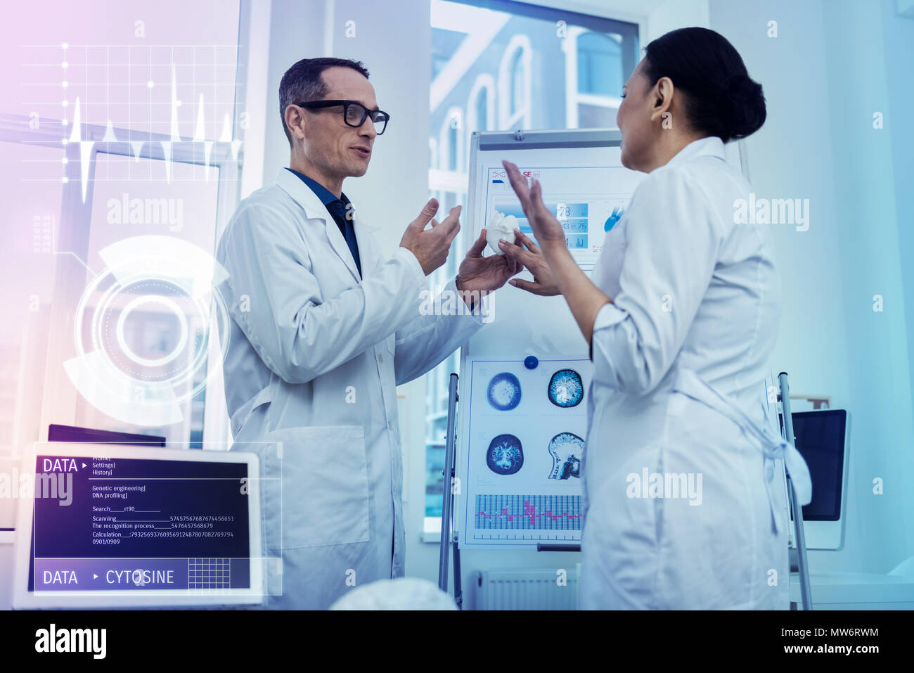 Expressive doctors using gestures while discussing brain structure ...