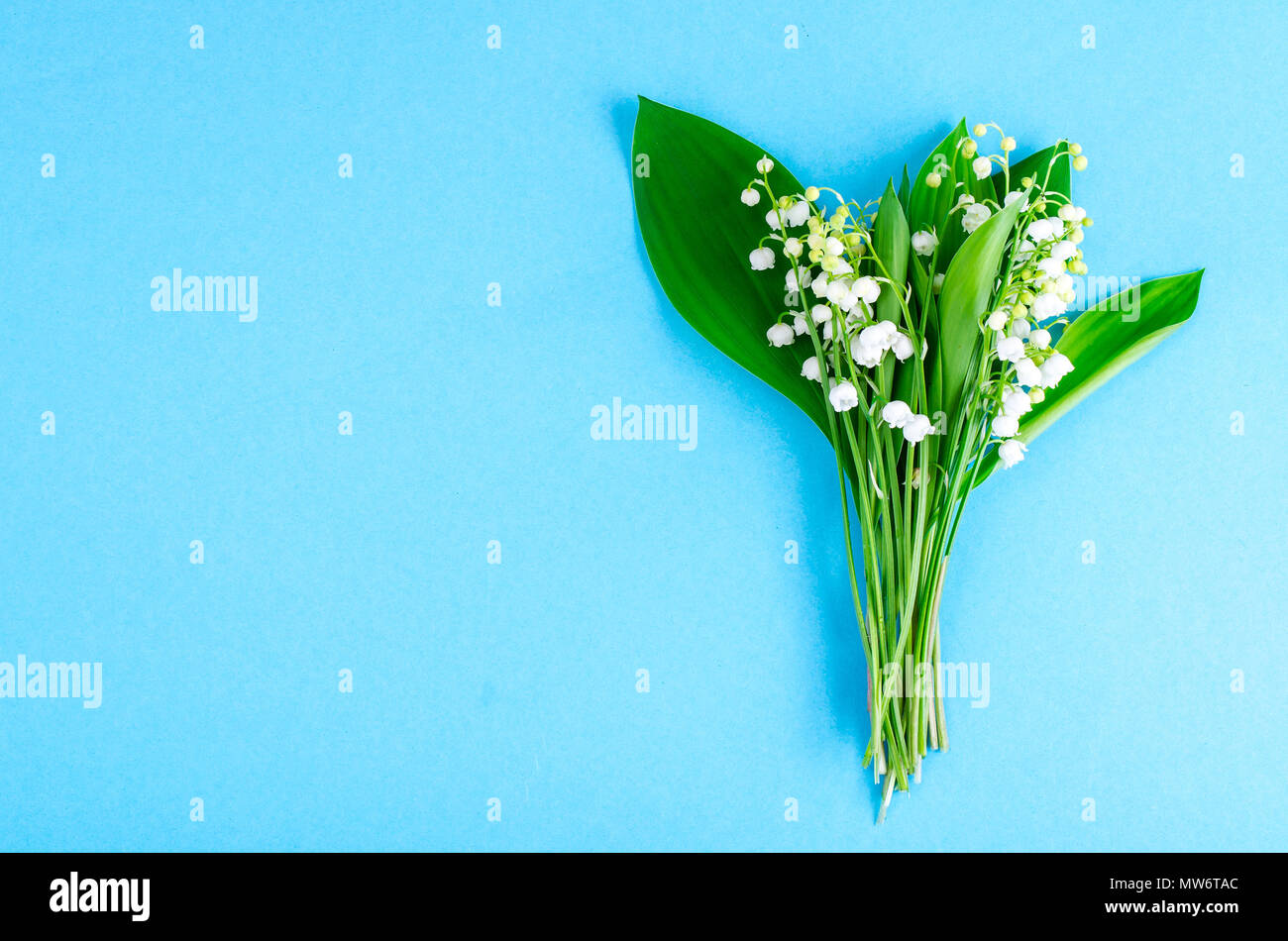 Bunch of tender white spring lilies of valley. Studio Photo Stock Photo ...