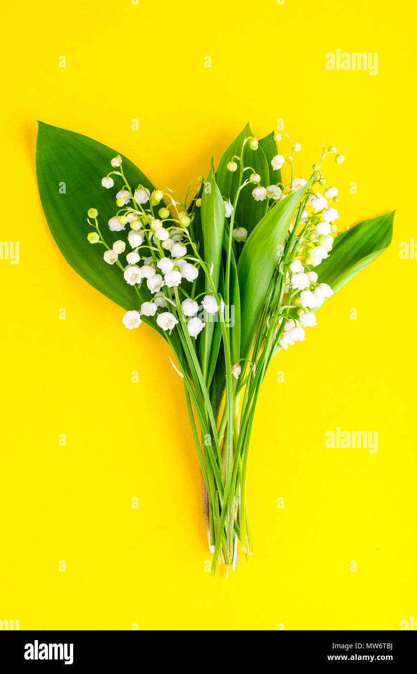 Bunch of tender white spring lilies of valley. Studio Photo Stock Photo ...