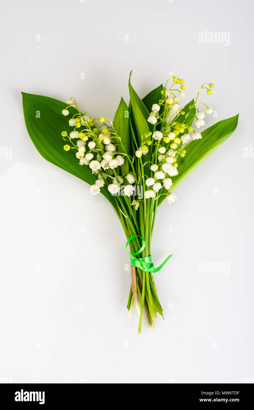 Bunch of tender white spring lilies of valley. Studio Photo Stock Photo ...