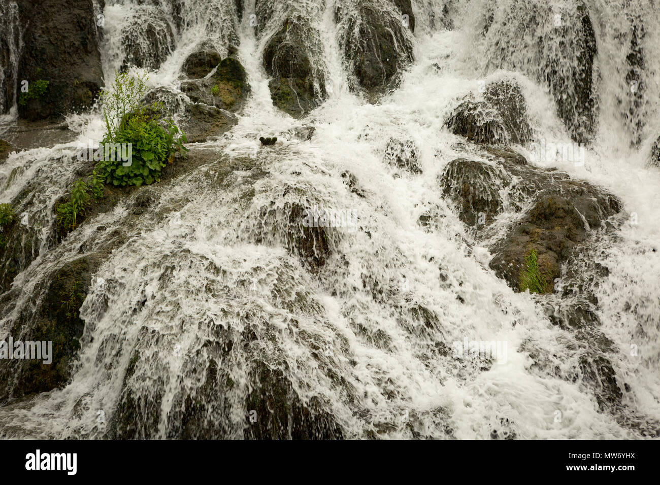 Fast flowing water running and splashing over wet rocks Stock Photo - Alamy