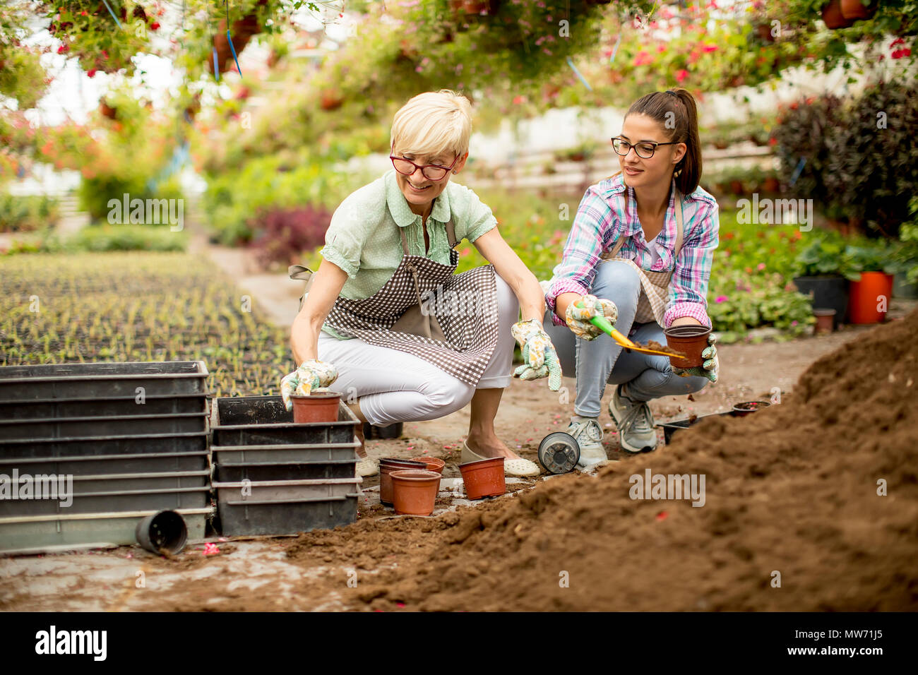 Two women plant flowers in pots in greengarden Stock Photo - Alamy