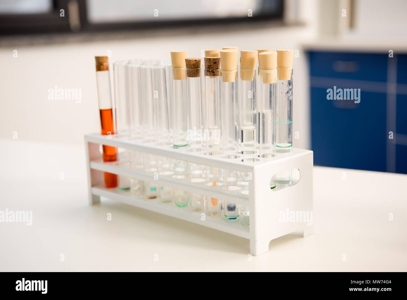 Samples in long test-tubes placed in a holder on table in laboratory ...
