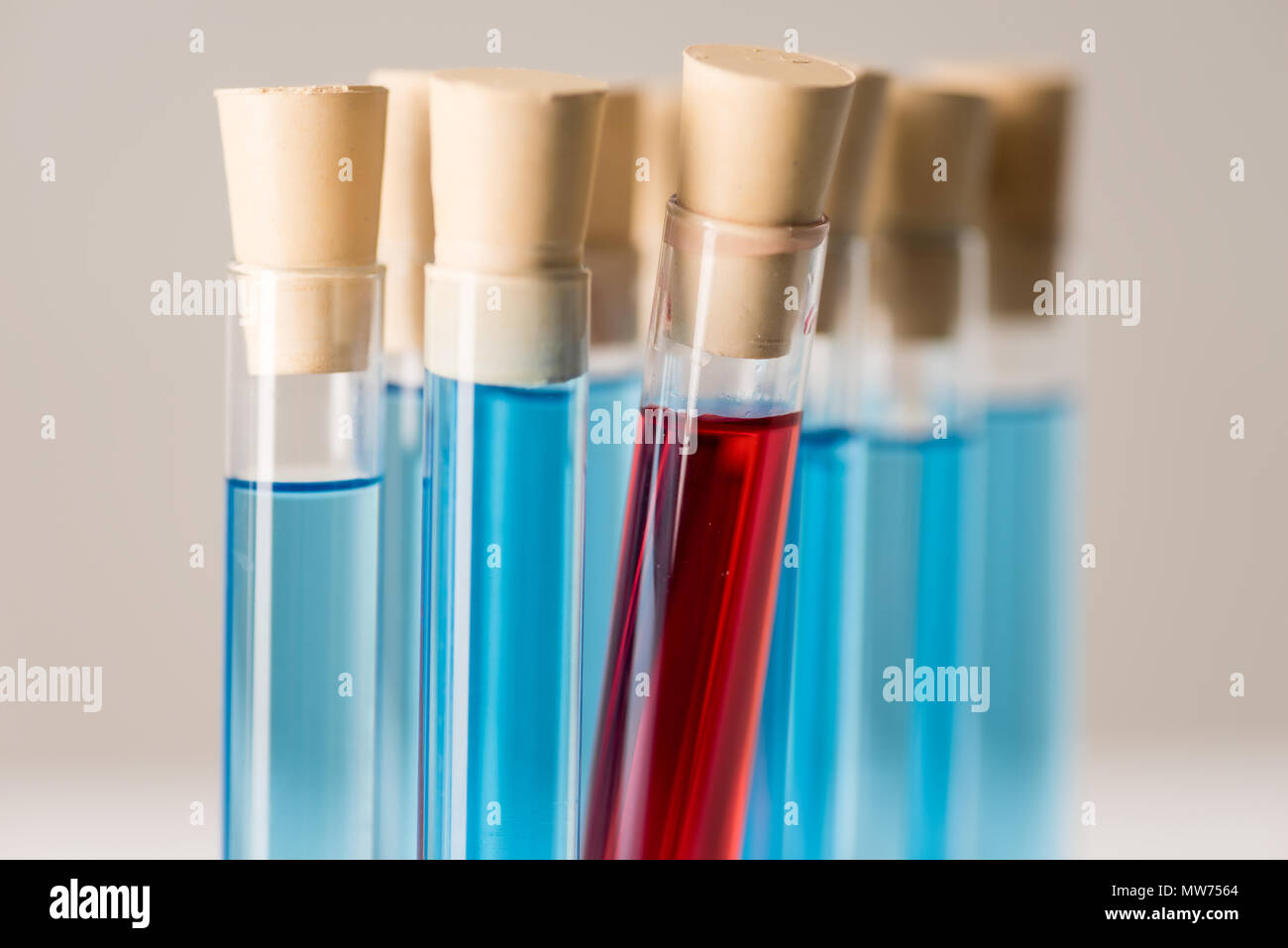 Closeup shot with row of long test tubes with red and blue liquid Stock ...
