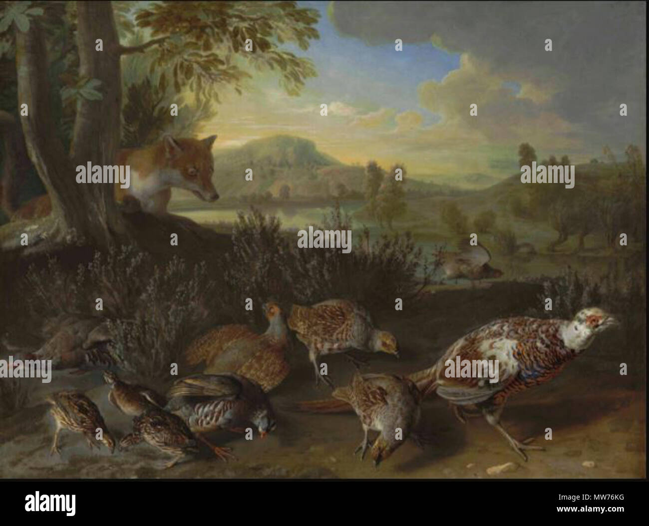 . English and French partridge, a covey of quail and an ornamental ...