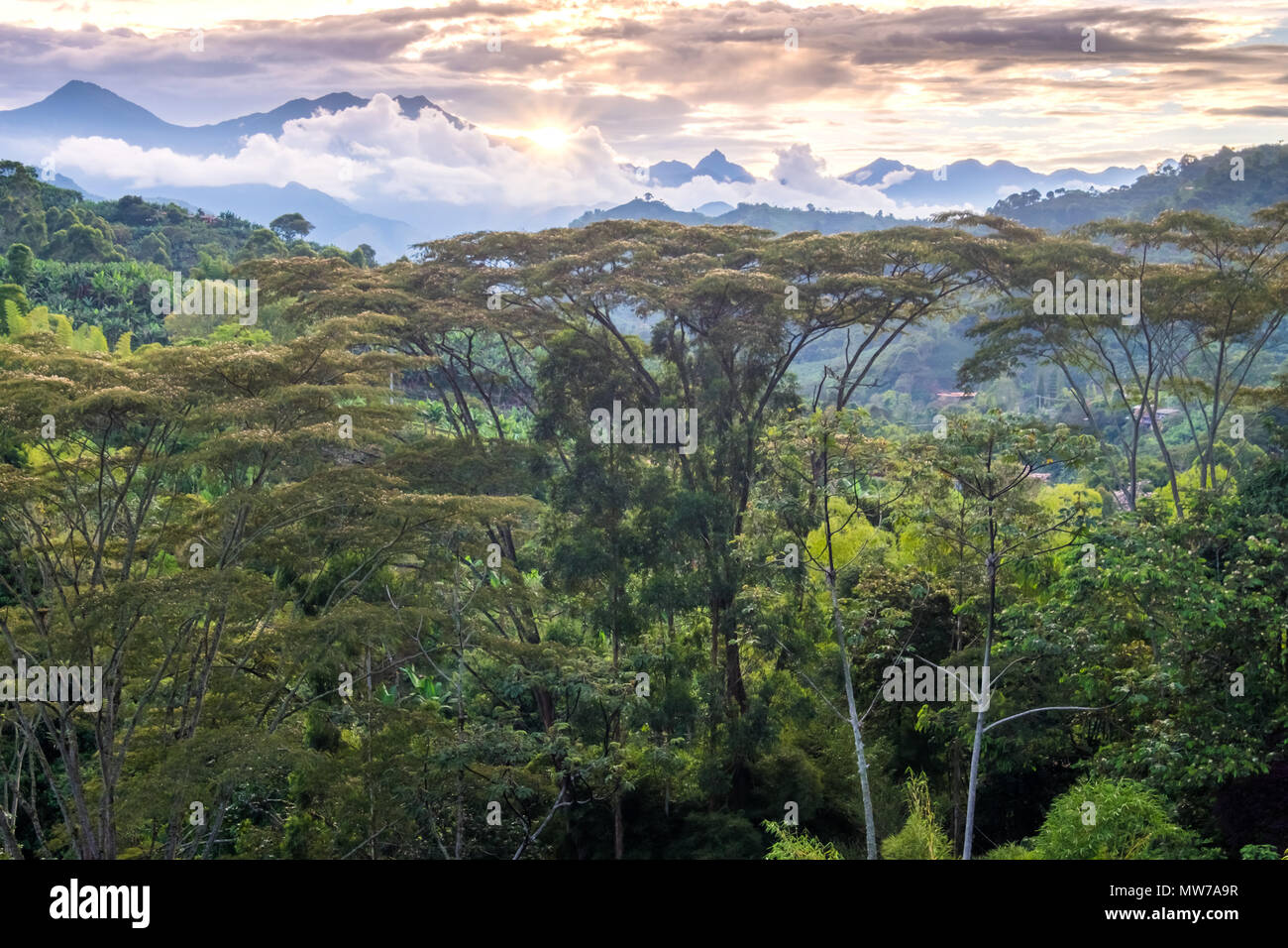 Antioquia hi-res stock photography and images - Alamy
