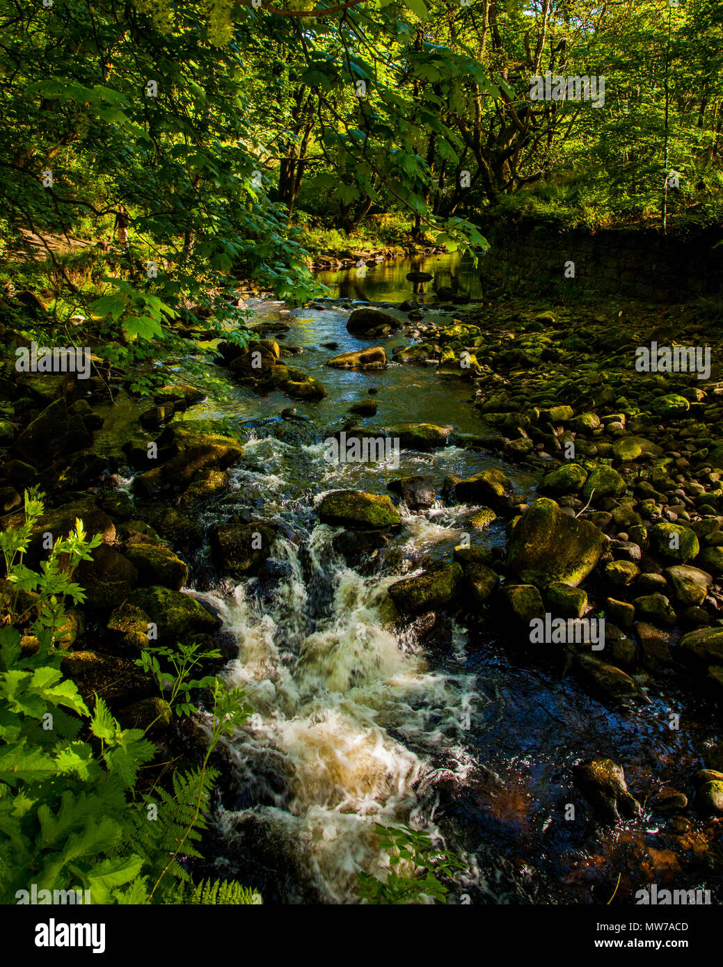 Hebden Beck, Hebden Bridge, West Yorkshire, UK Stock Photo - Alamy