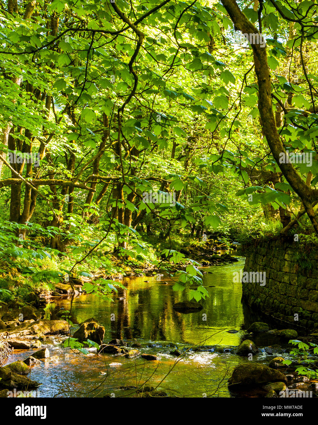 Hebden Beck, Hebden Bridge, West Yorkshire, UK Stock Photo - Alamy