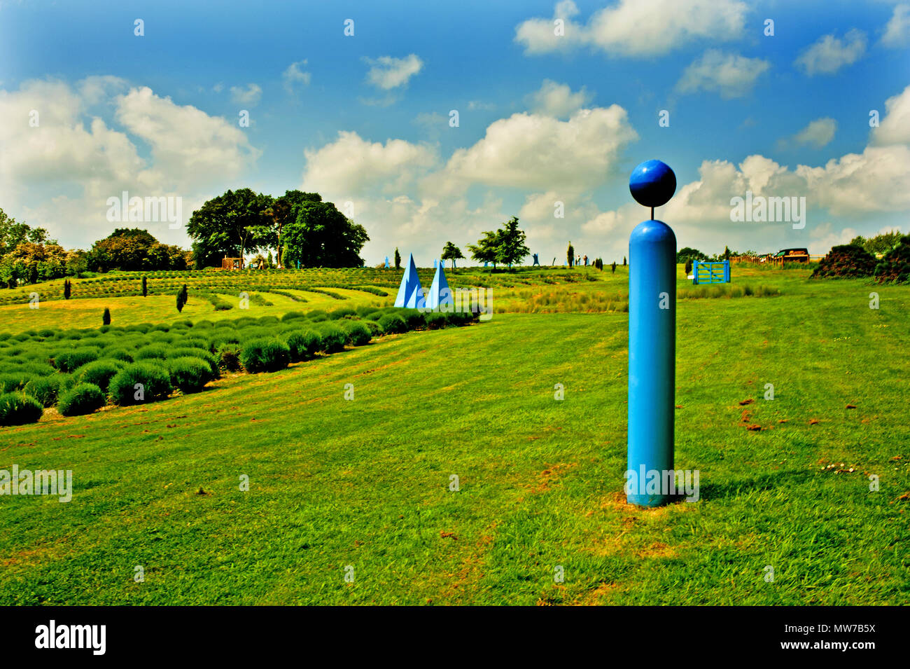 Yorkshire Lavender centre, Terrington, North Yorkshire, England Stock ...