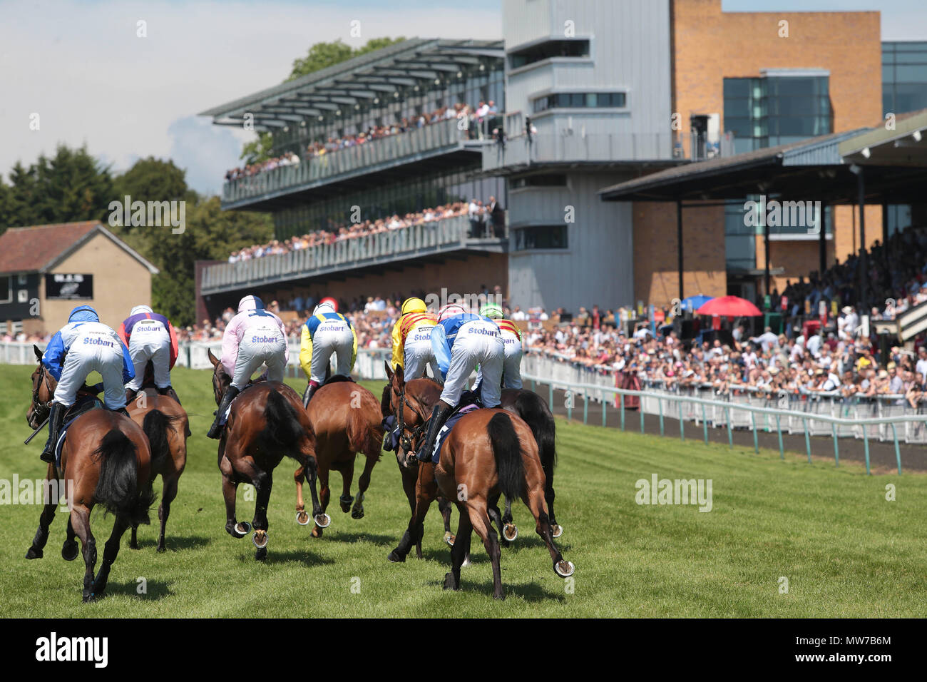 A busy arc owned Fontwell Racecourse with packed stands Stock Photo - Alamy