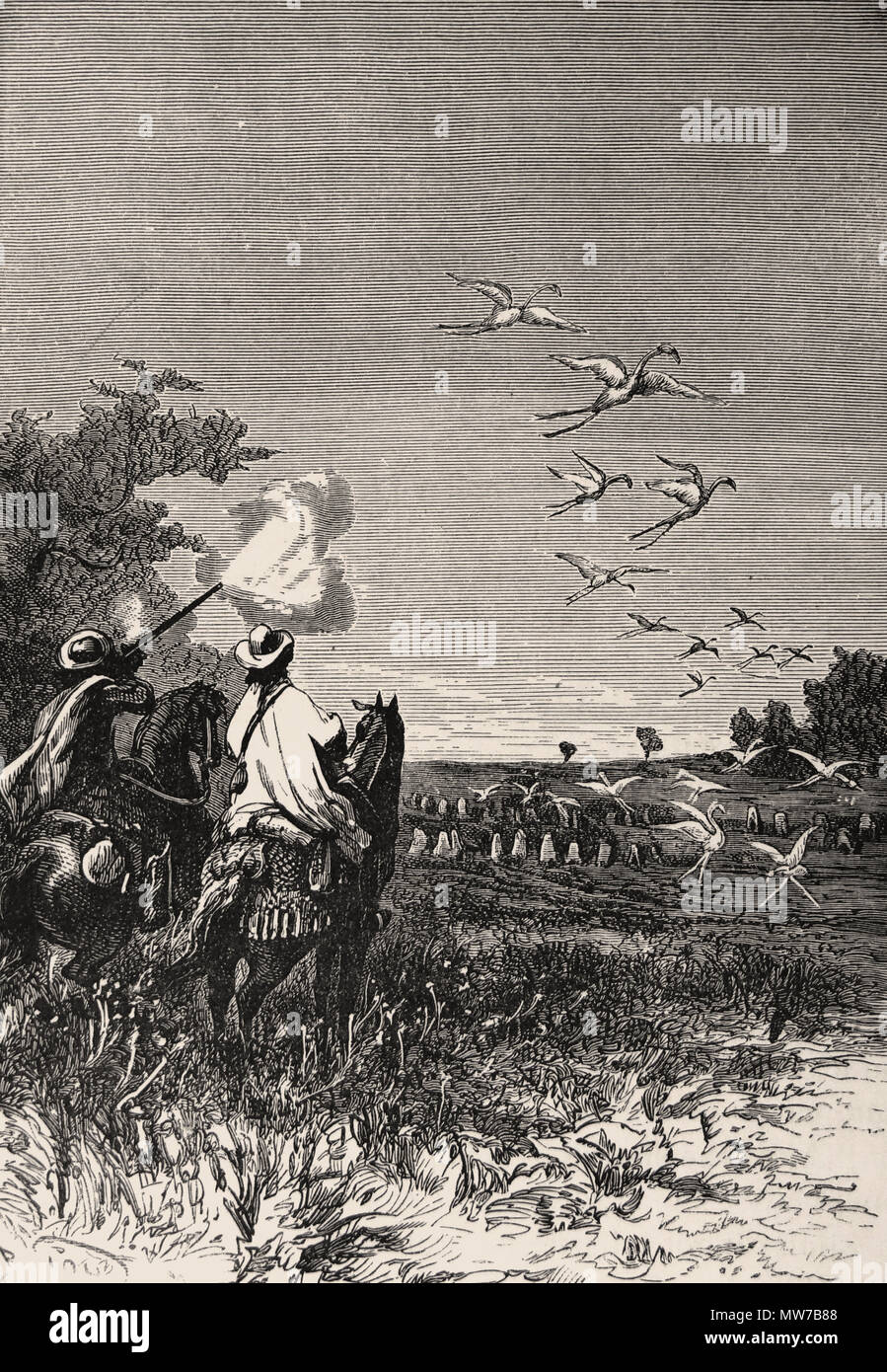 Art by Edouard Riou from "In Search of the Castaways" by Jules Verne ...