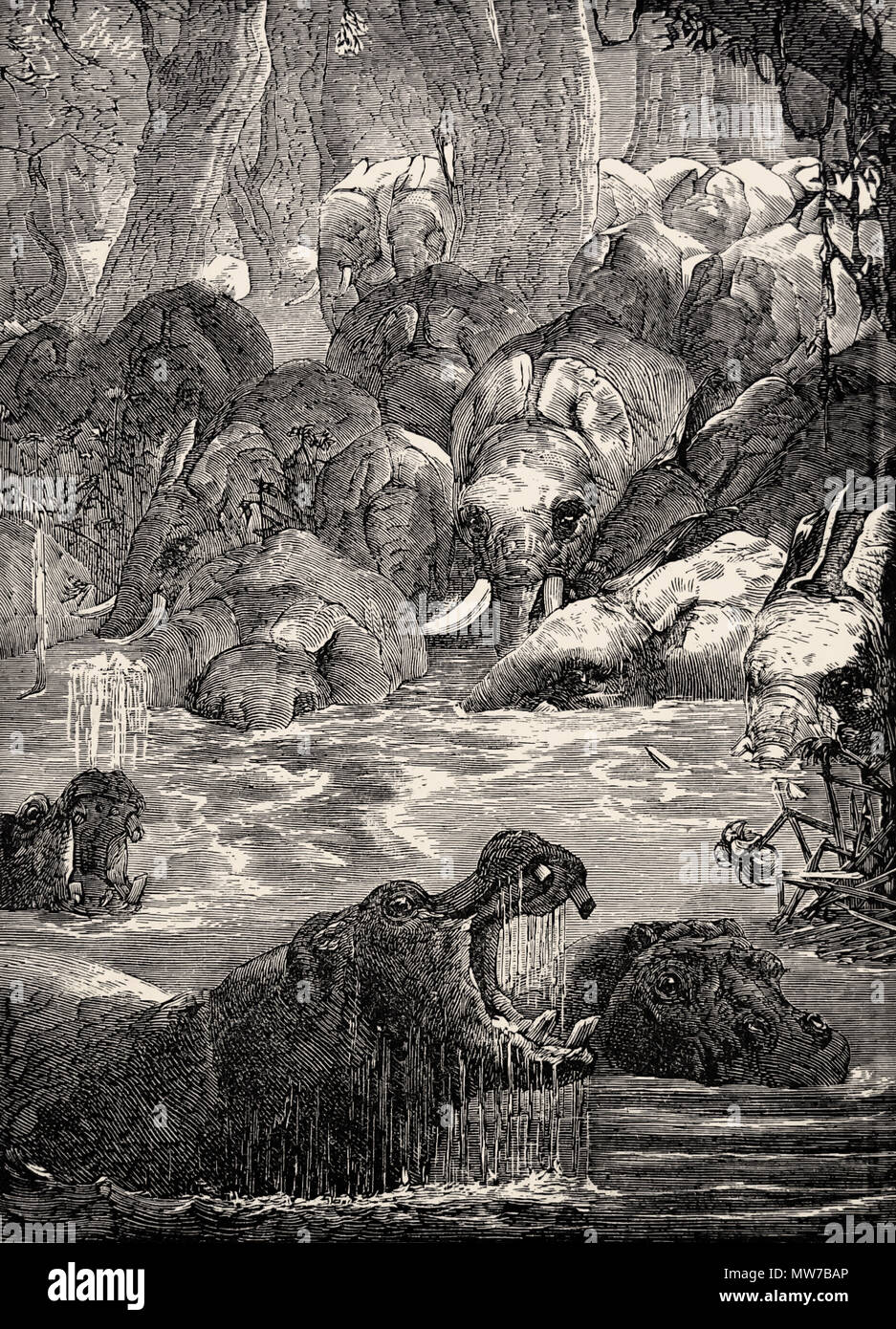 Frontispiece: "Adventures in the Land of the Behemoth" by Jules Verne ...