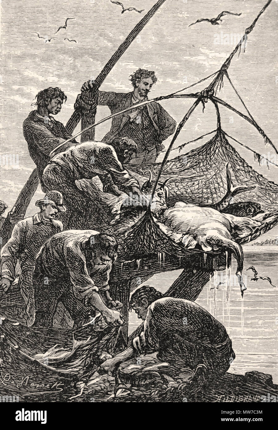"Fishing" Art by L. Benett for Jules Verne's "Eight Hundred Leagues on ...