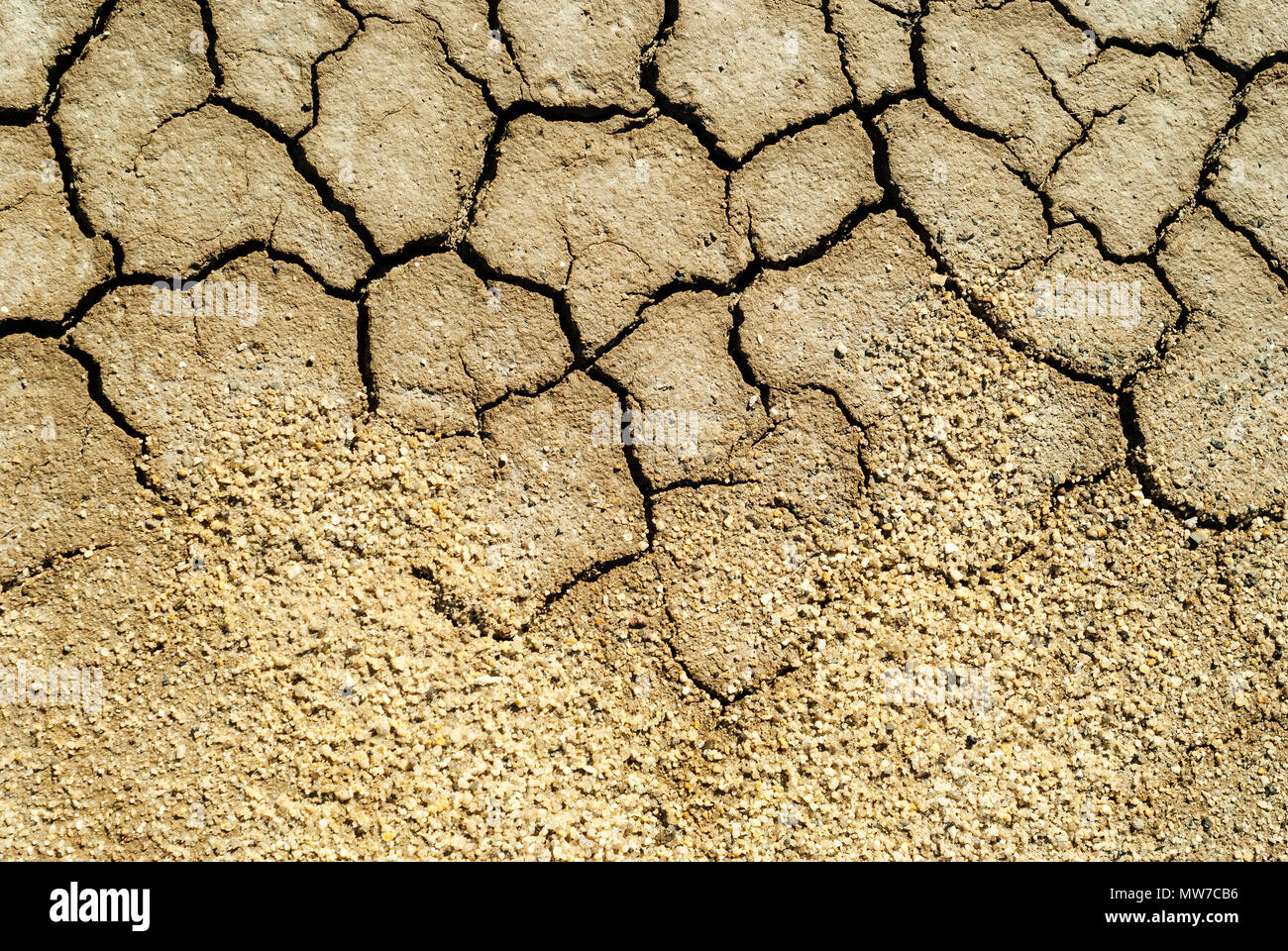 background - dried cracked saline soil, dry clay sprinkled with sand ...