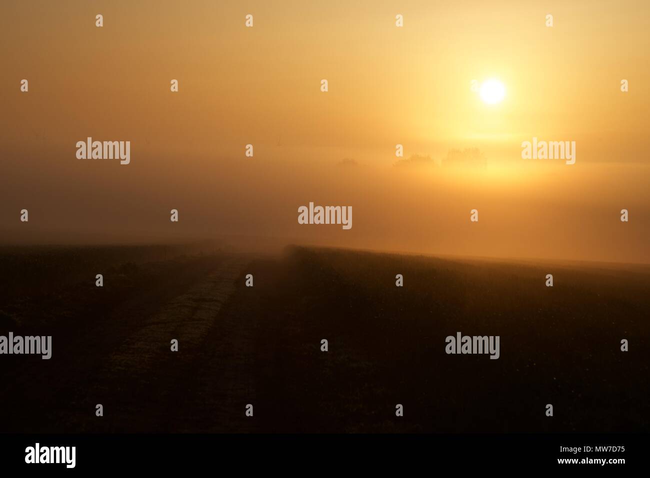 Diffuesd hi-res stock photography and images - Alamy