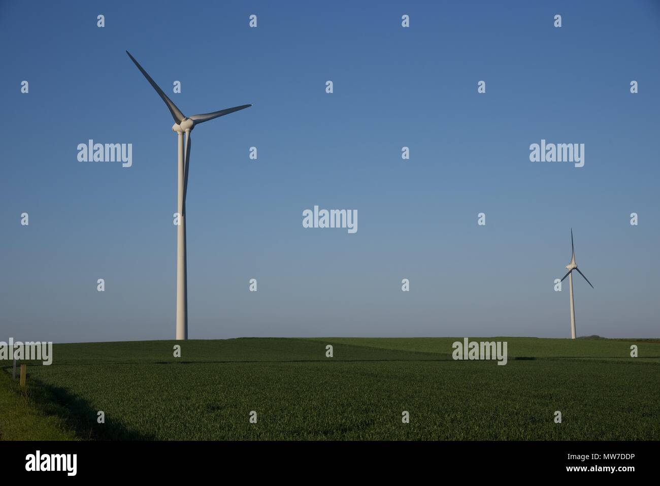 Wind turbines: a pair of wind turbines towering over growing crops ...