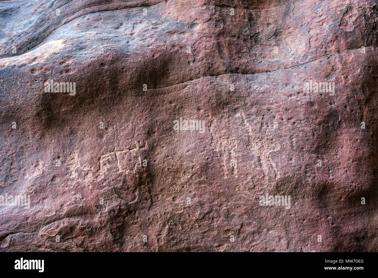 Ancient Nabatean and Thamudic inscriptions on rock representing camel ...