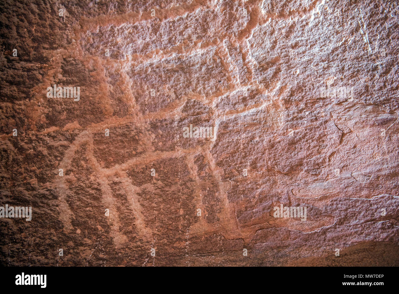 Ancient Nabatean and Thamudic inscriptions on rock representing camel ...