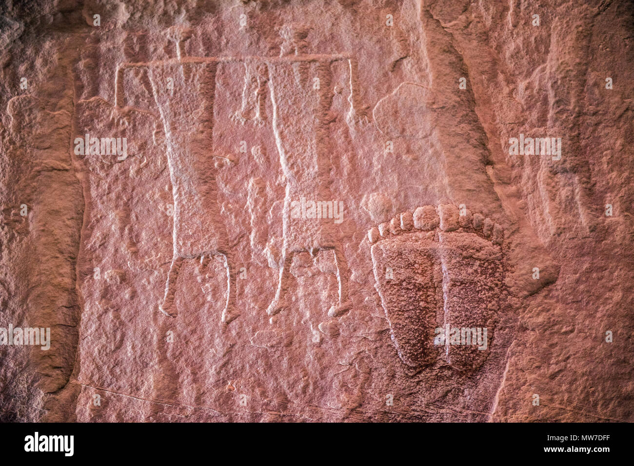 Ancient Nabatean and Thamudic inscriptions on rock representing camel ...