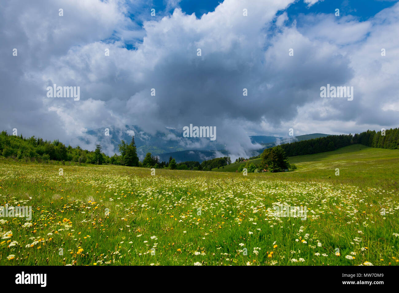Petit ballon vosges hi-res stock photography and images - Alamy