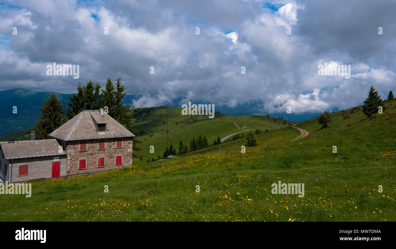 Beautiful Petit Ballon in the Vosges mountains in France Stock Photo ...
