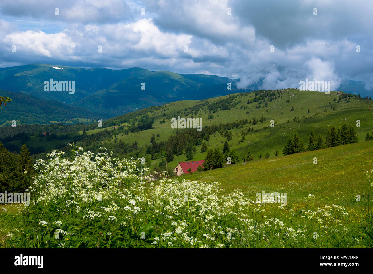 Petit ballon vosges hi-res stock photography and images - Alamy